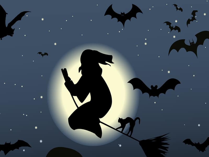 Bats in Popular Culture